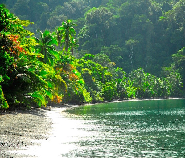 LO SVILUPPO PUÒ ESSERE VERDE « Visit Costa Rica