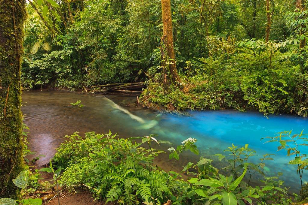 I MIGLIORI PARCHI NAZIONALI DELLA COSTA RICA « Visit Costa Rica